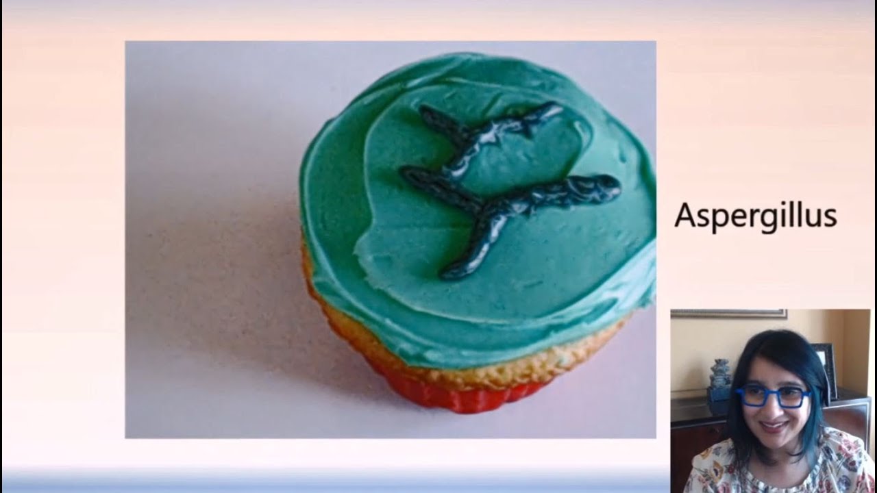 Fungal histopathology, A Piece of Cake - YouTube