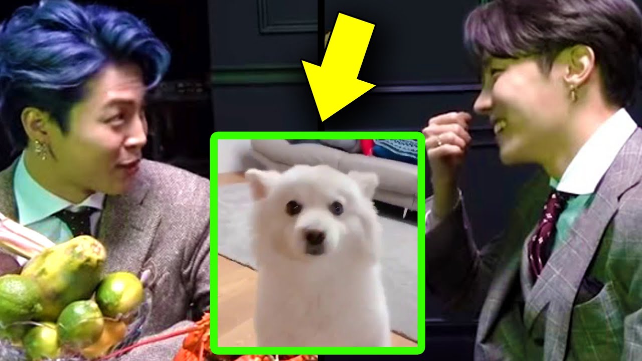 Jimin Changed His Name, RM Reunited With His Dog - YouTube