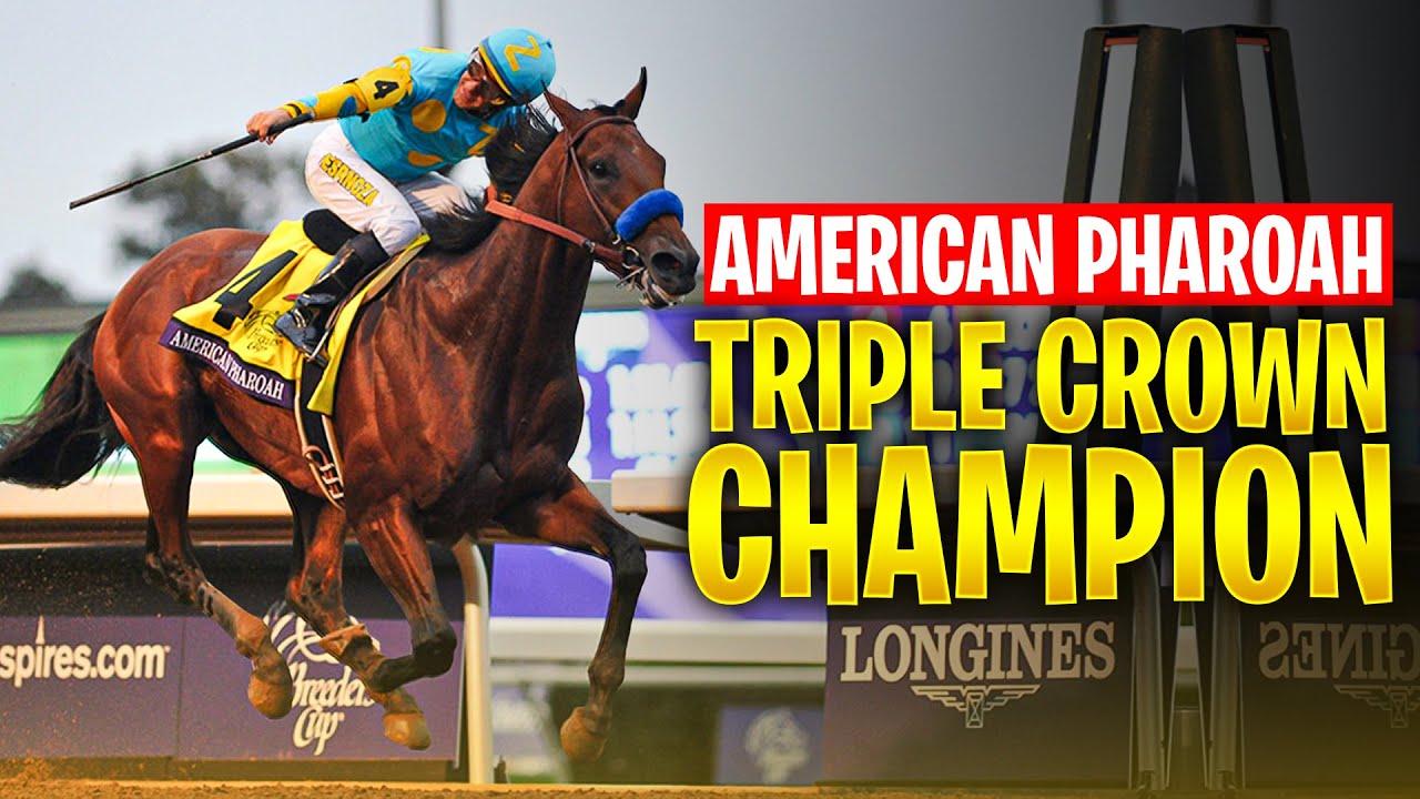 American Pharoah's Greatest Victories | From Debut to Glory | Race by ...