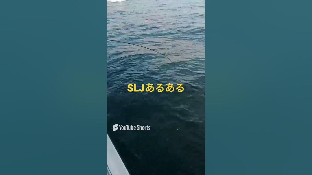 SLJあるある🎣 - YouTube