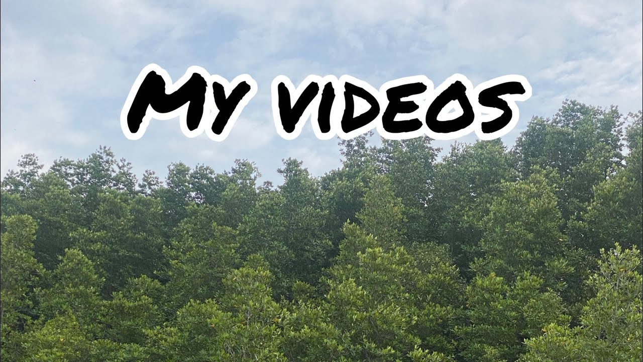 Collection videos - YouTube