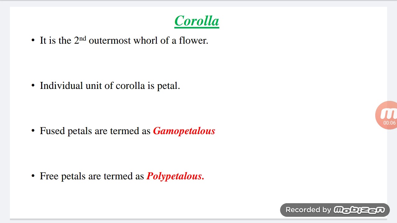 Corolla (Morphology of flowering Plants) (L4) - YouTube