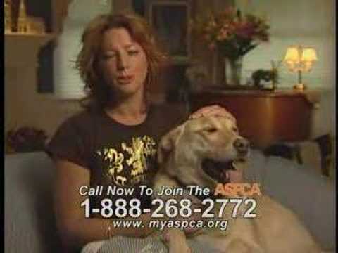 PSA: ASPCA - YouTube