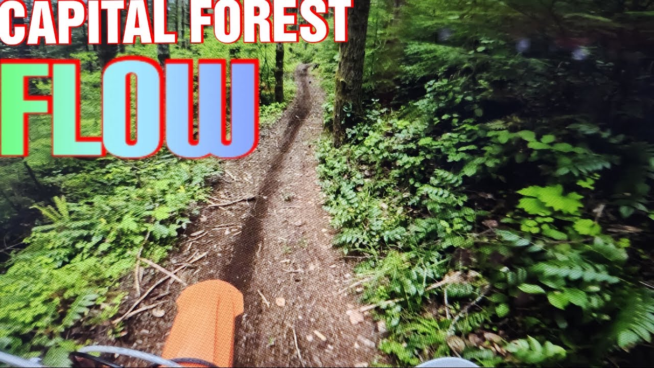 Capital Forest Dirt Bike Flow Trails - YouTube