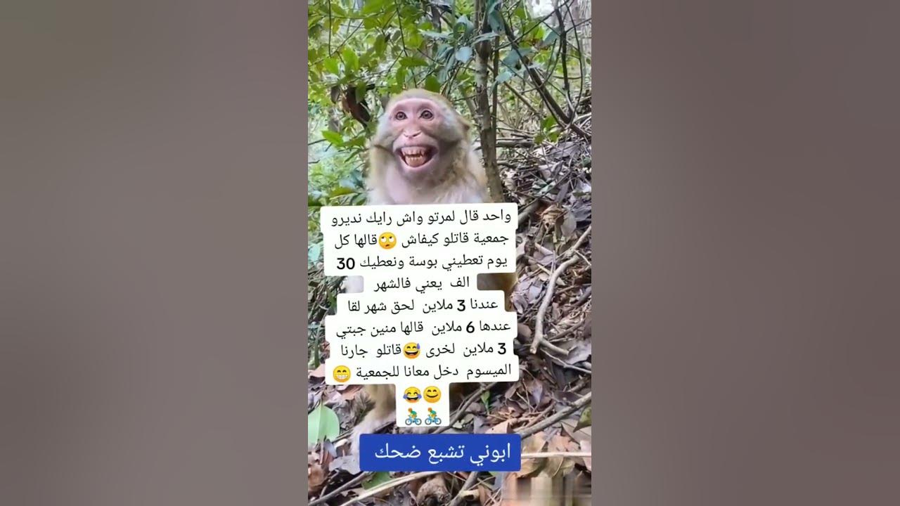 نكت مضحكه جدا Youtube