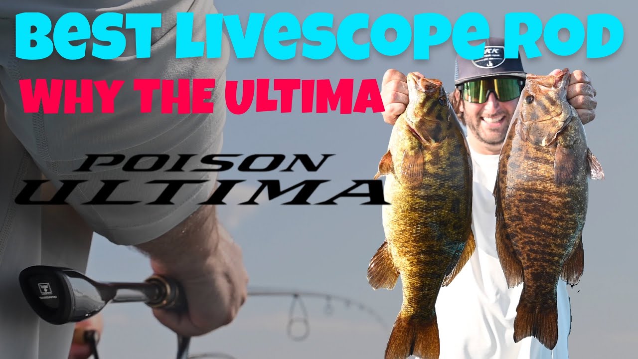 Why the Jackall Poison Ultima is the ULTIMATE SCOPING Rod for FFS - YouTube
