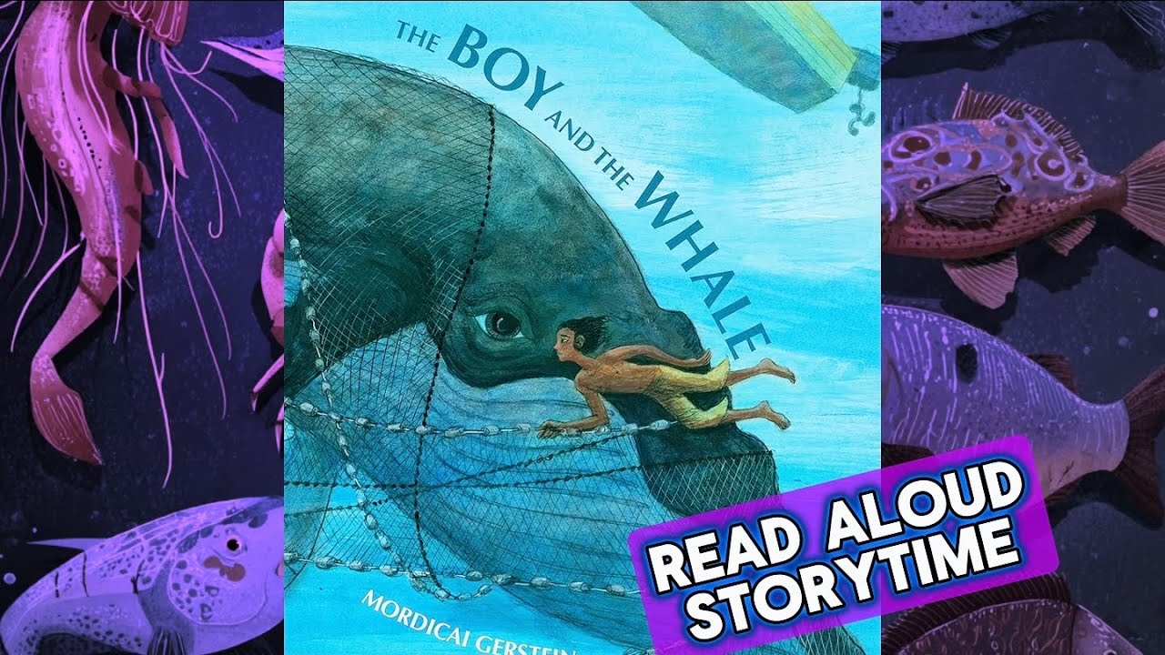 The Boy and the Whale Read Aloud Storytime| StorySquawk - YouTube