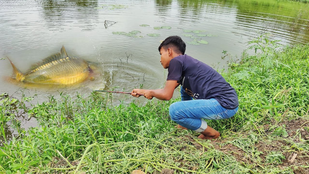 Really Amazing Hook Fishing Video||Smart Little Boy Catching Fish With ...