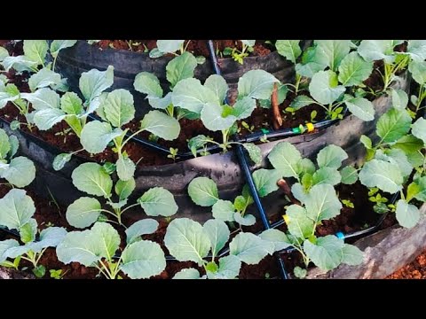 making of multi-storey garden - YouTube