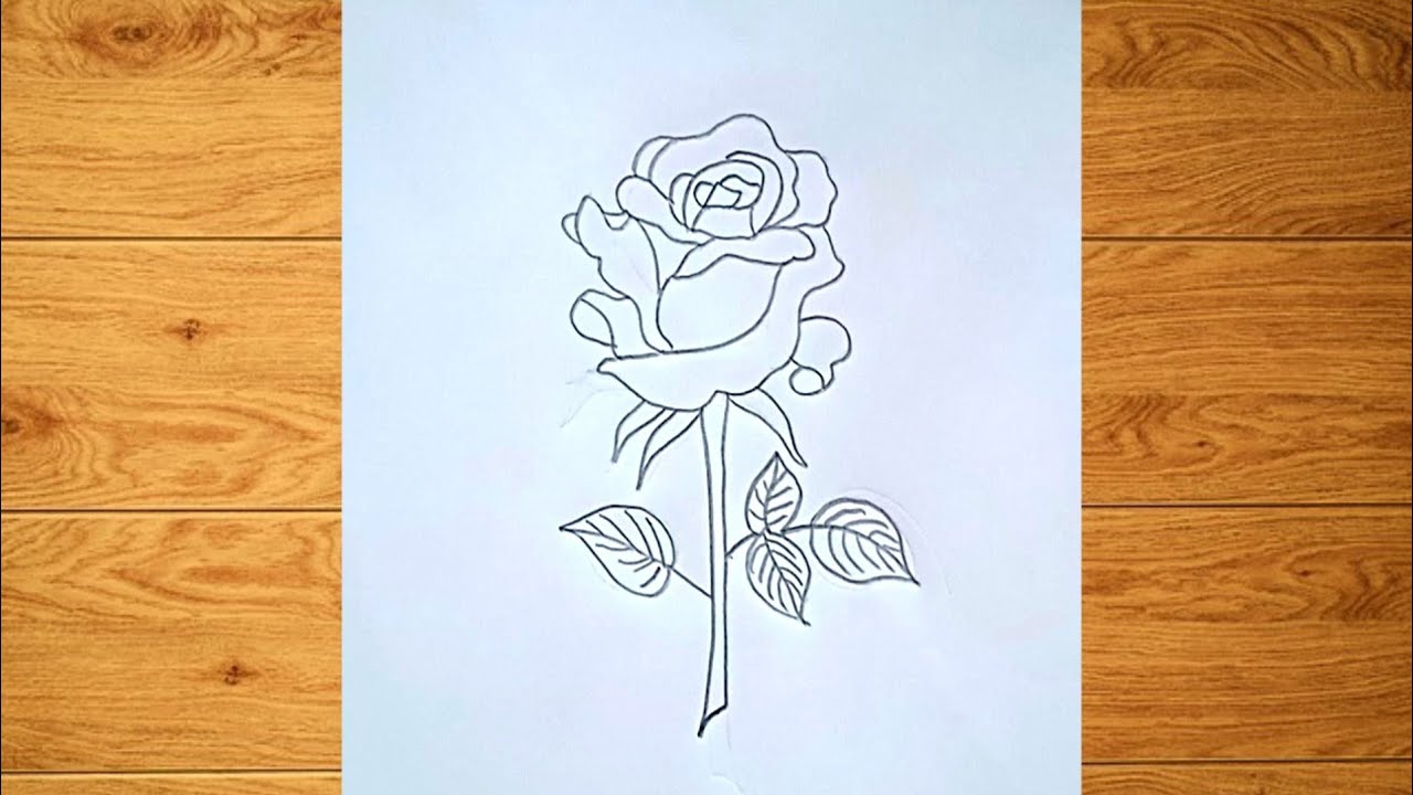ROSE drawing easy 🌹 Rose pencil drawing step by step - YouTube