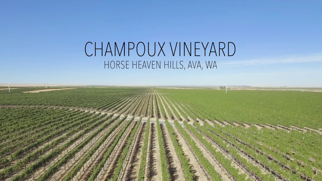 Champoux Vineyard - YouTube