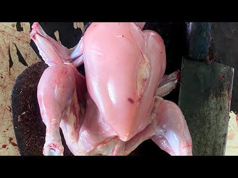 Amazing Chicken Cutting | Skills Muslim Style Fast Chicken | Cutting Murga Cutting