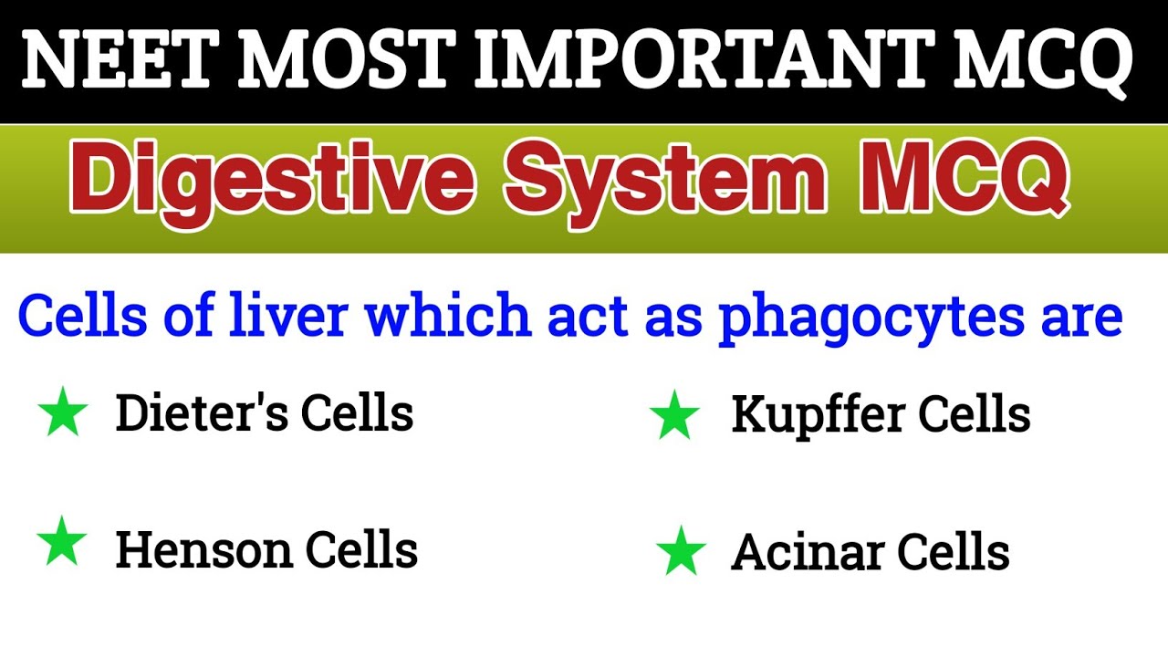 Digestive System MCQ - Human Physiology MCQ For NEET - part 2 - YouTube