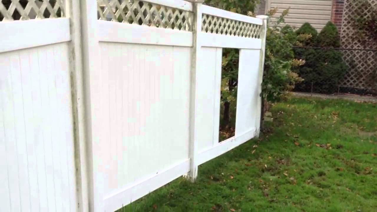 Running through a fence - YouTube