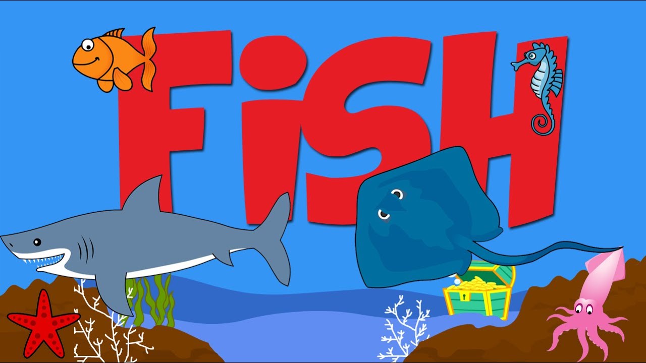 Fishes - Learn About Animals For Kids - YouTube
