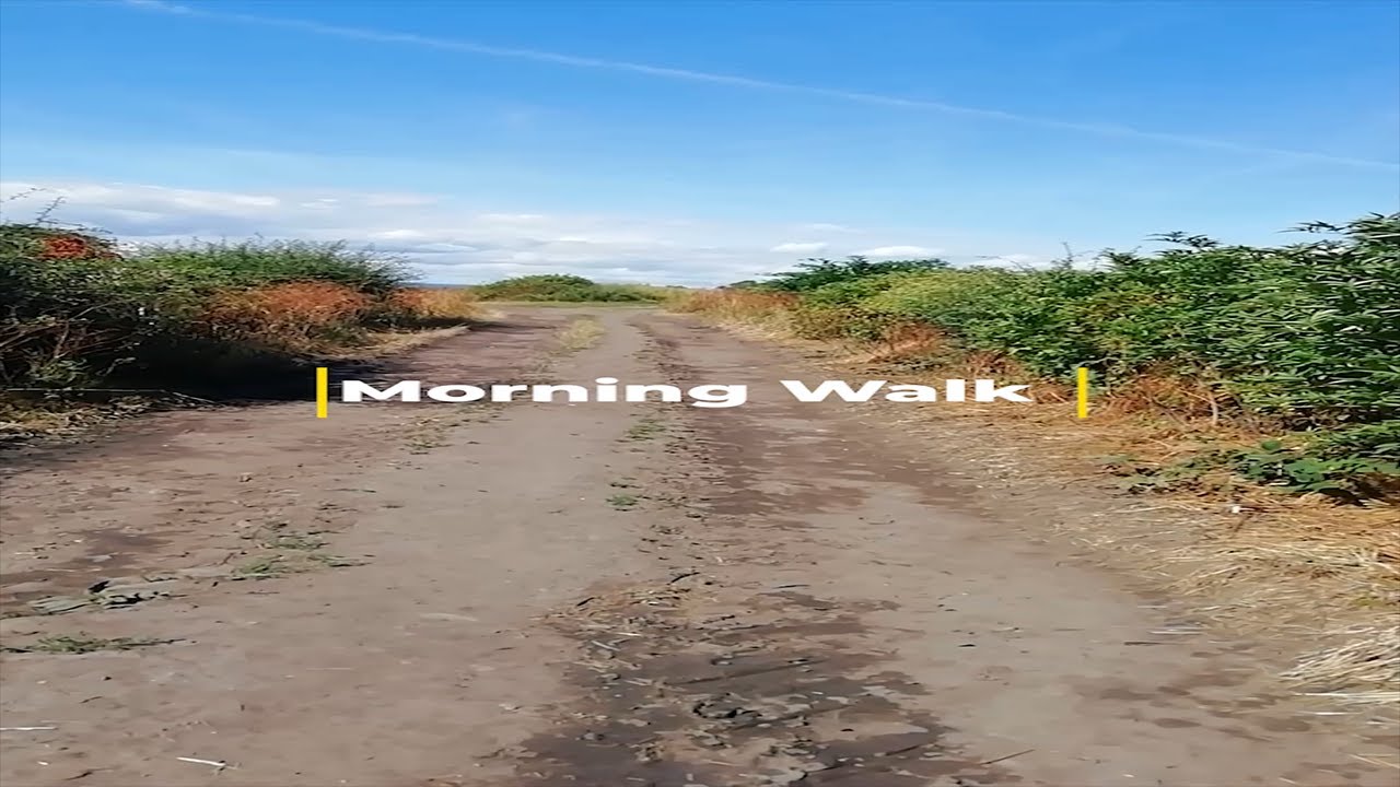 morning walk - YouTube