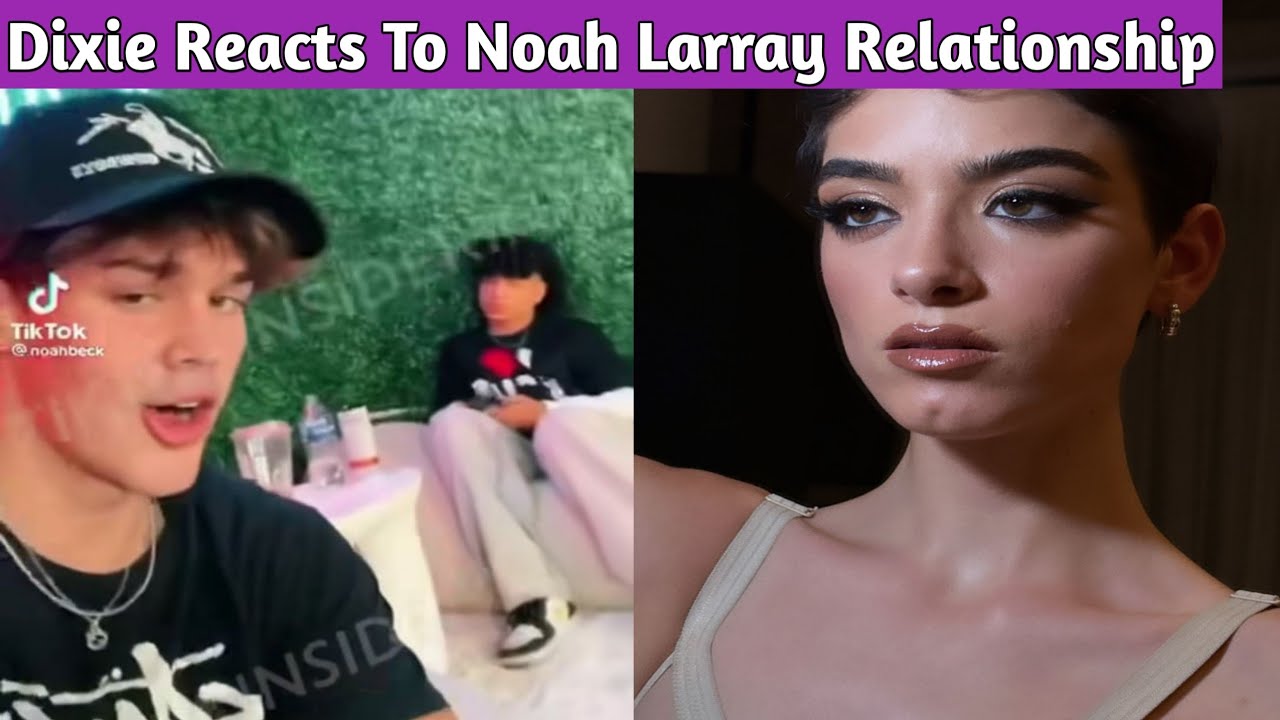 Has Noah Beck Started Dating Larray Now - It looks So - Dixie Damelio ...