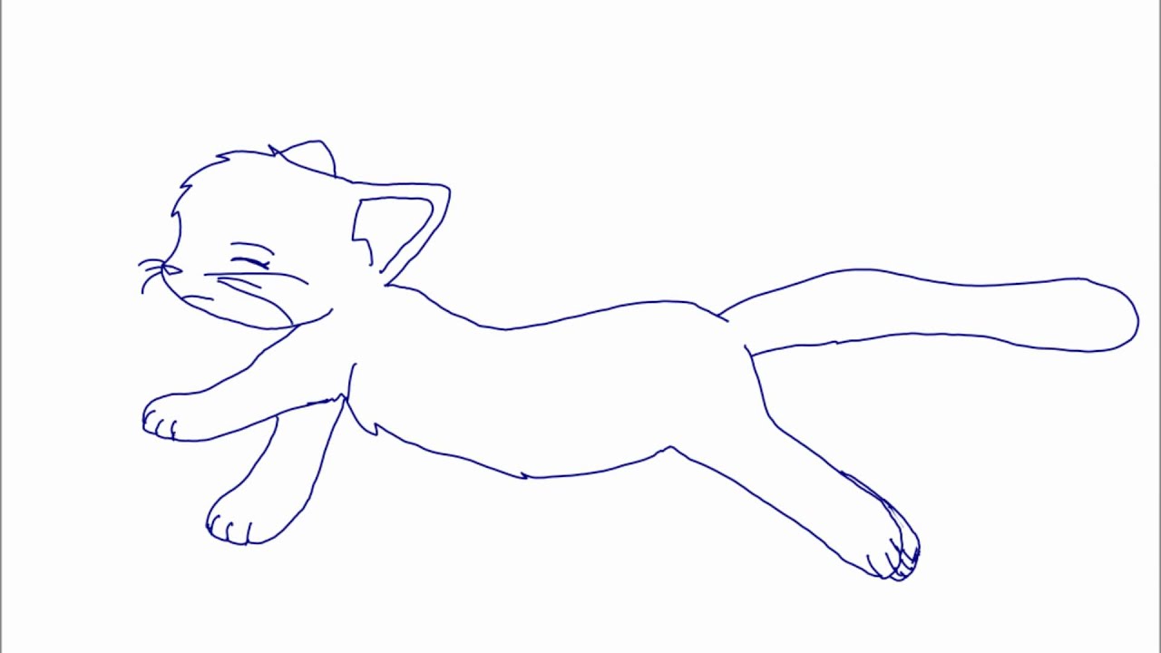 Cat Run Cycle WIP - YouTube