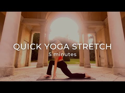 5 Min Yoga Stretch | Quick Yoga Session | Yoga by Nicole