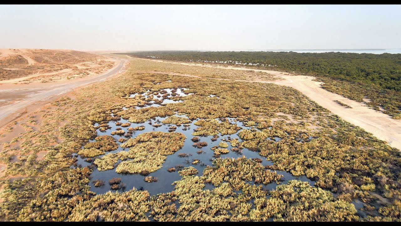 CINEMATIC FOOTAGE OF UNSEEN UMM AL QUWAIN 4K - YouTube