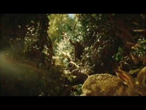 BBC One Ident - YouTube