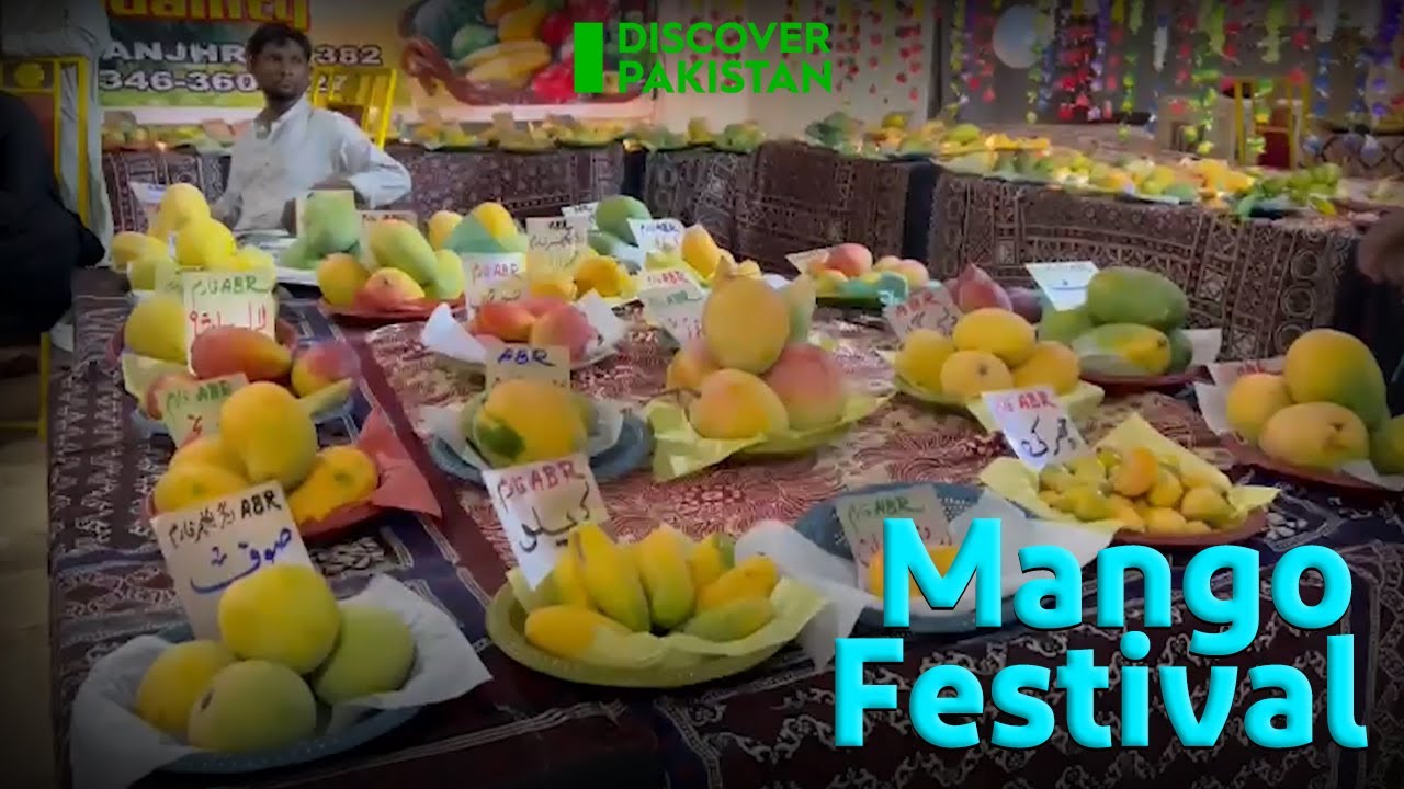 Pakistan Mango Festival | The King Of Fruits | Discover Pakistan Tv ...