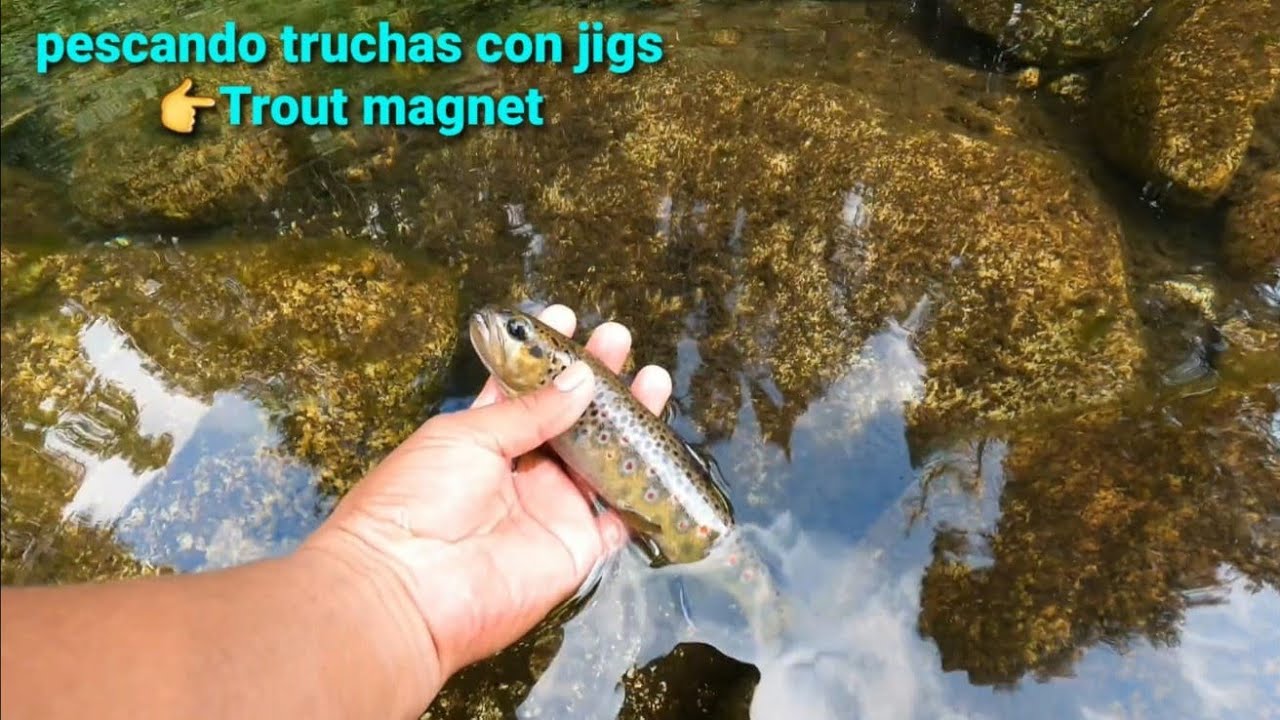 pescando truchas con jigs en el río kaweah river king canyon national ...