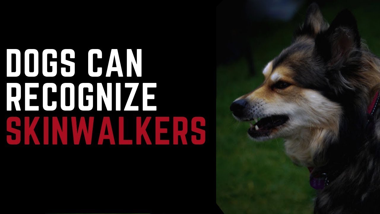 Dogs Can Recognize Skinwalkers | Creepypasta - YouTube