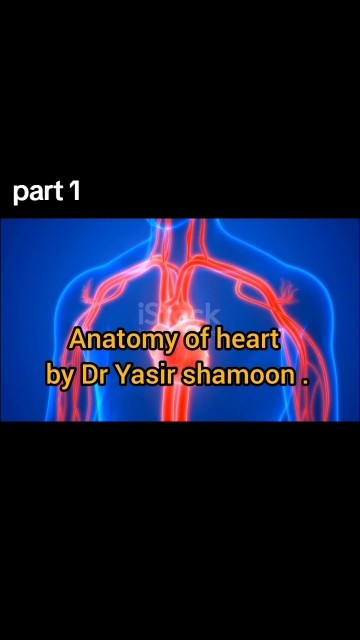 Anatomy of heart by Dr Yasir shamoon in very interesting Way. - YouTube