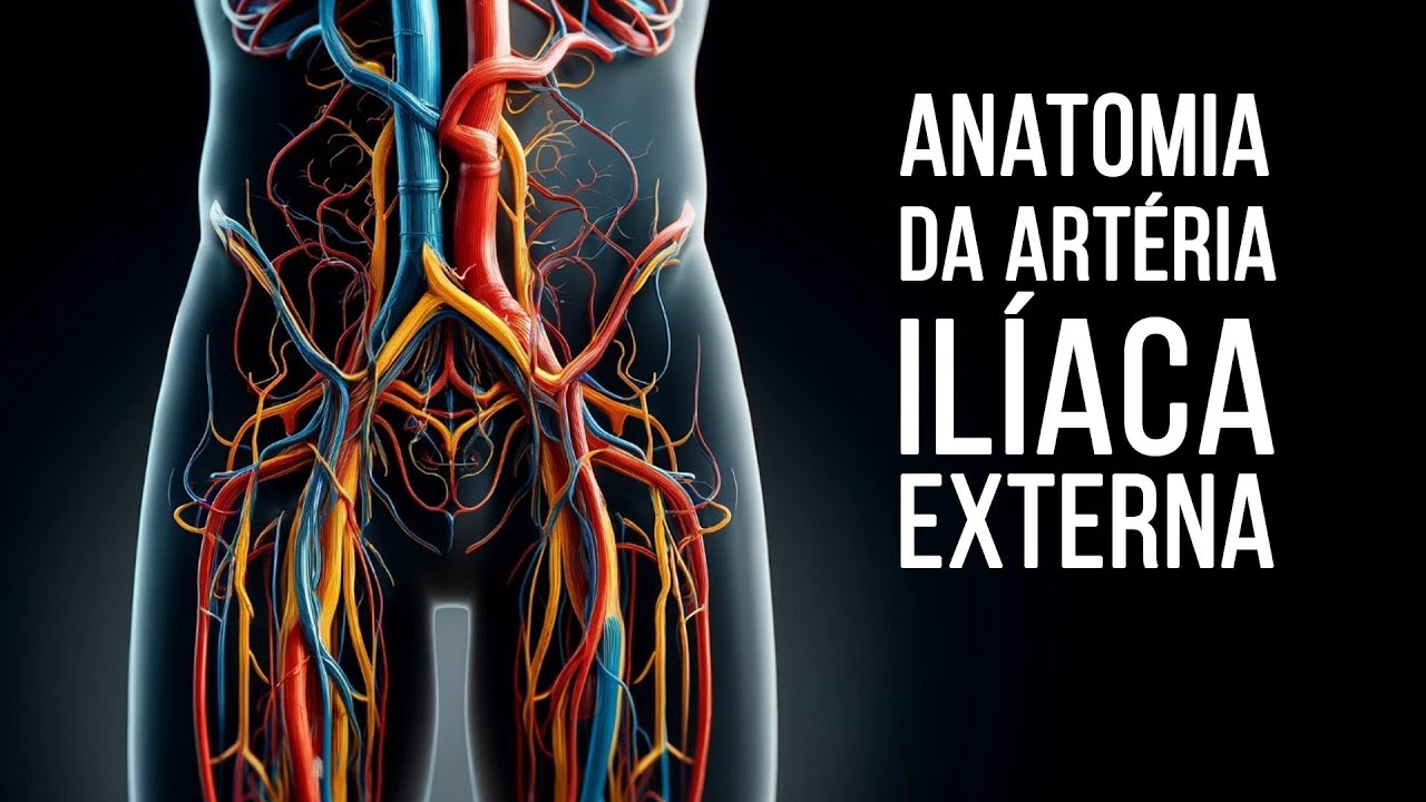 #Anatomia da artéria ilíaca externa - YouTube