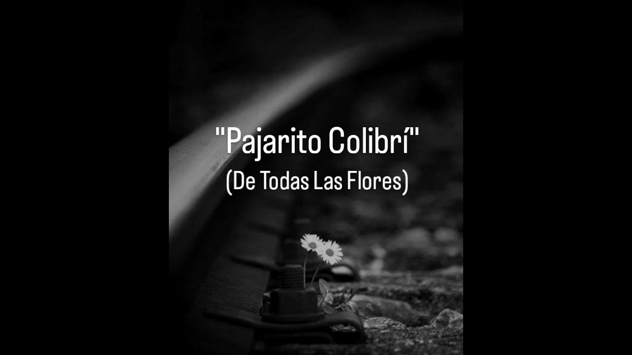 Guitarreando Pajarito Colibrí de Natalia Lafourcade (De Todas Las ...