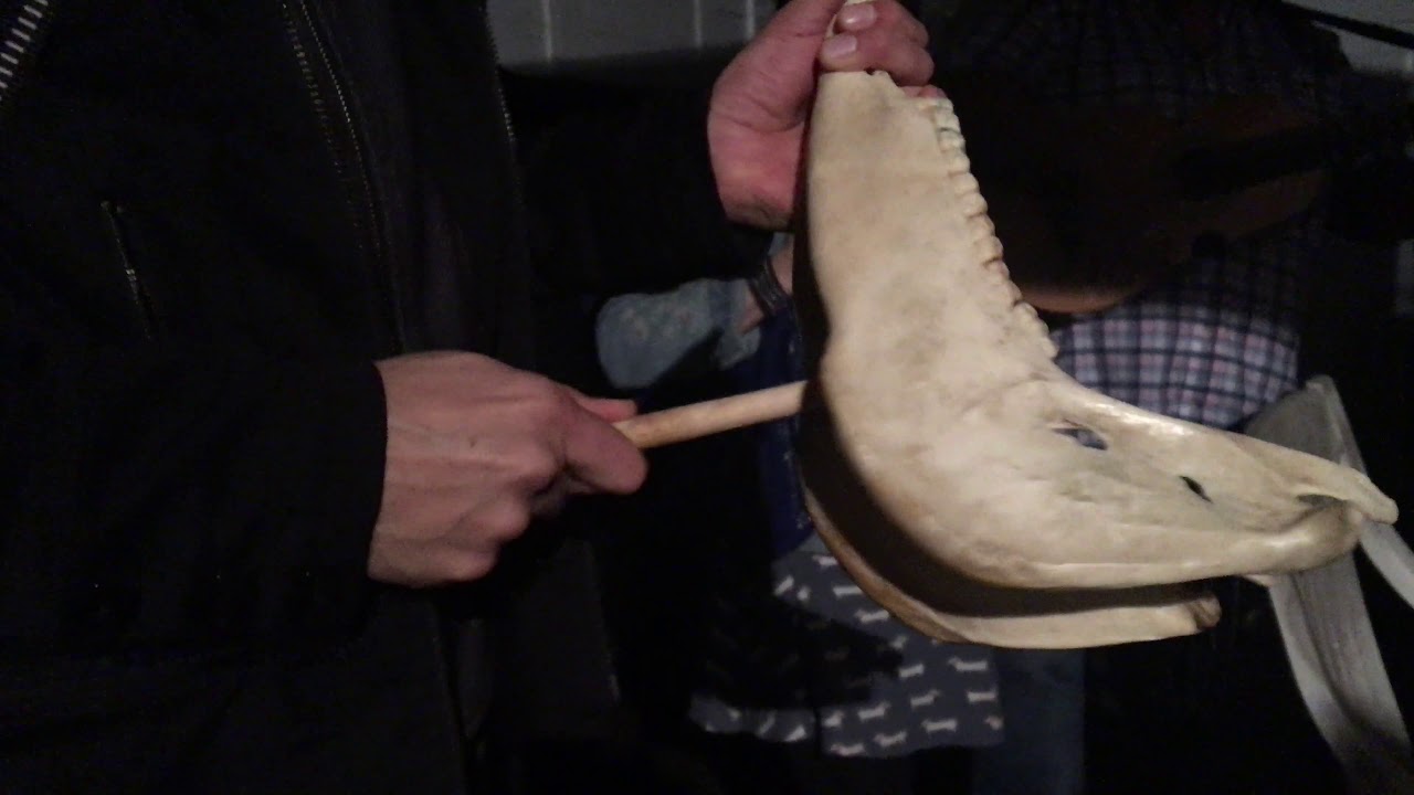 Donkey Jaw Bone Rattle, Quijada. 2k19 - YouTube