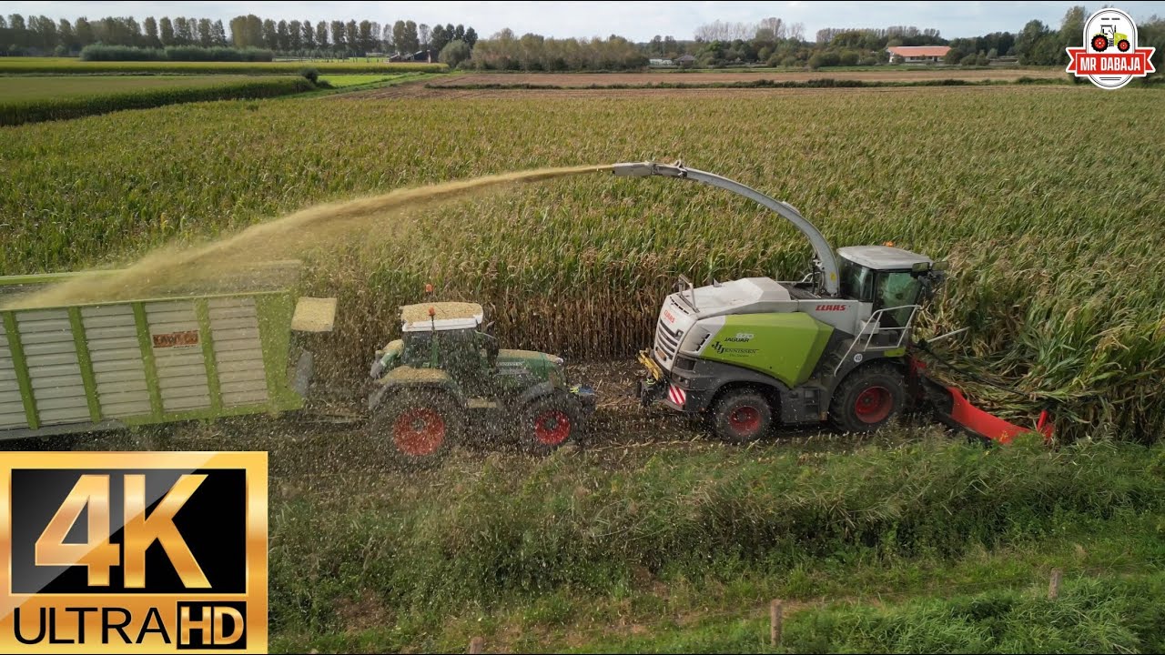 Jennissen Claas jaguar 870 + Kemper +massey ferguson 8s +schuitemaker ...