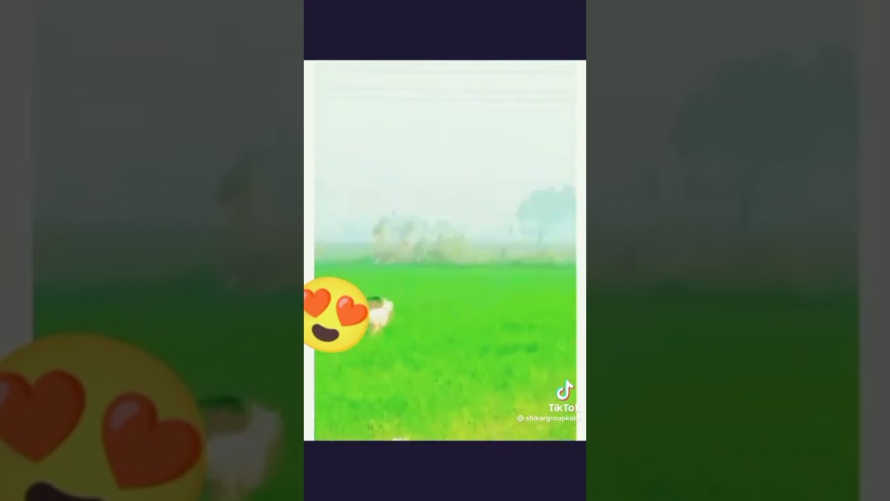 44444444######o 1112222#### 👌👌👌👌👌😜😜😜😜 - YouTube