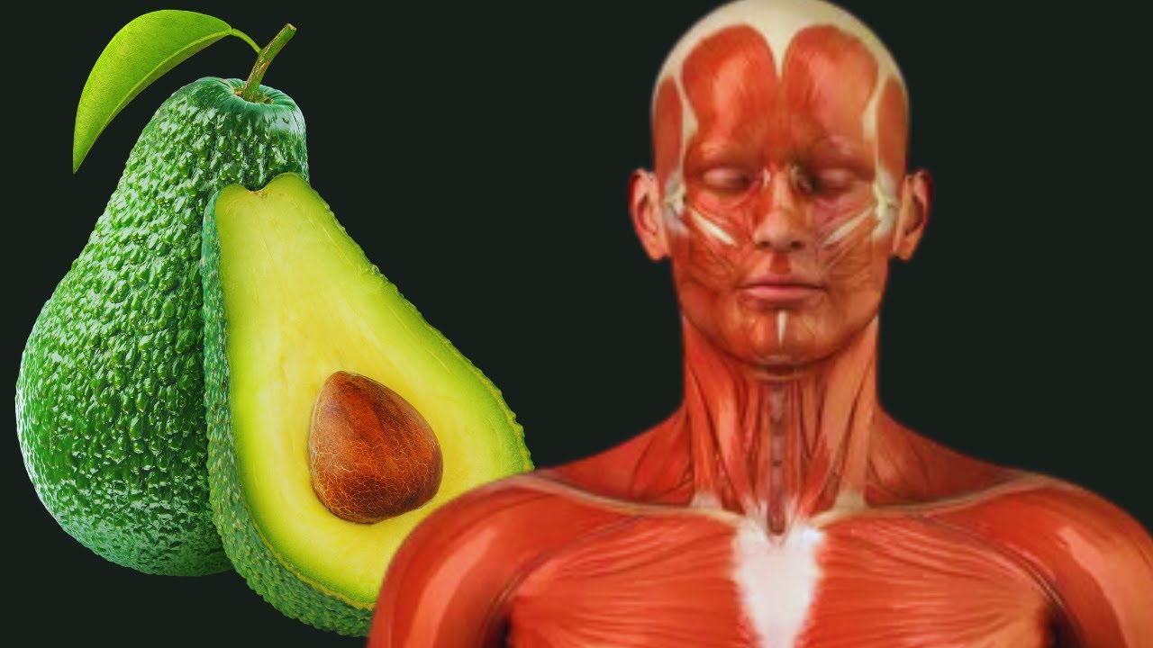 If You Eat an Avocado a Day For a Month, Here's What Will Happen to You ...