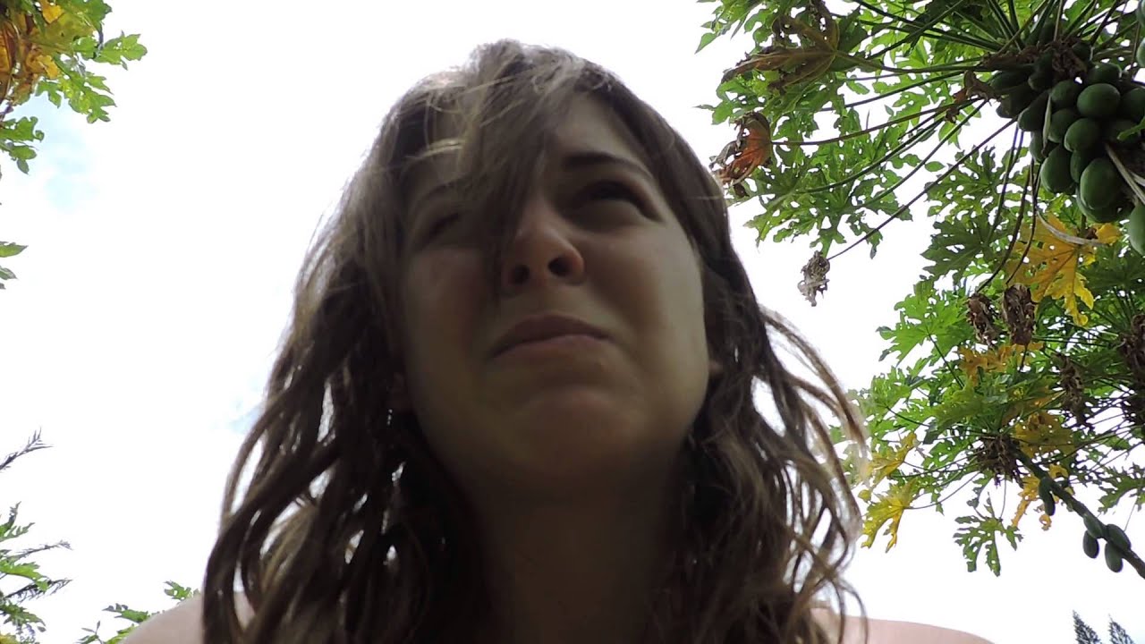 Eating Spilanthes in Hawaii- Mouth-numbing Flower - YouTube