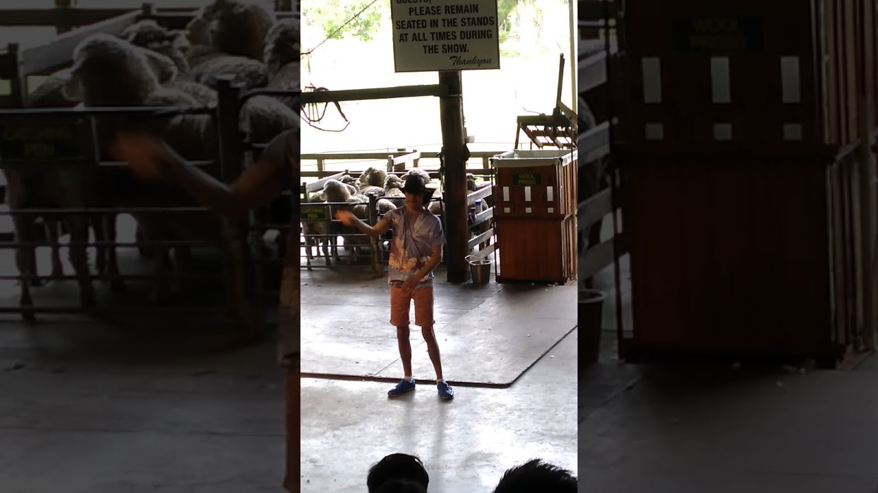 Whip cracking - YouTube