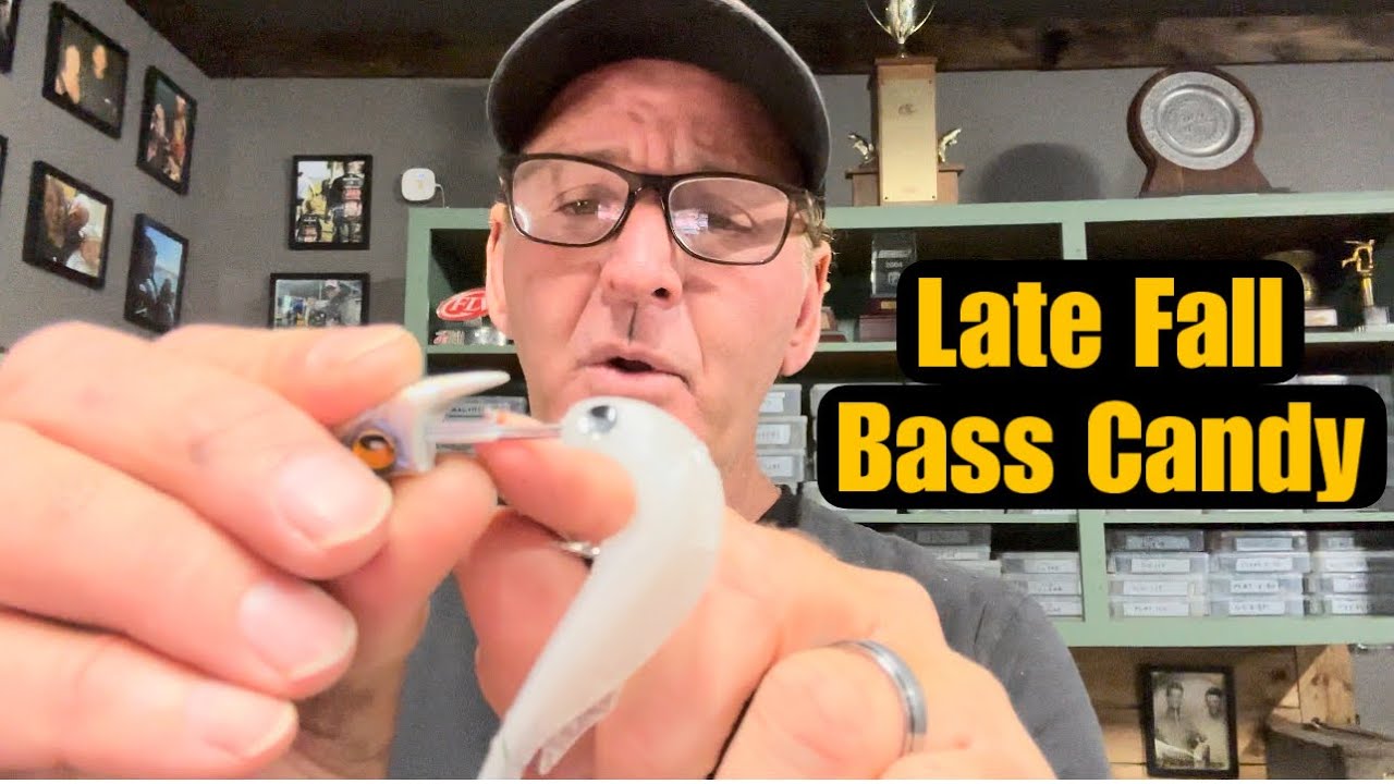 Average 20+ Bass A Day On THIS Swimbait Rig In November And December ...