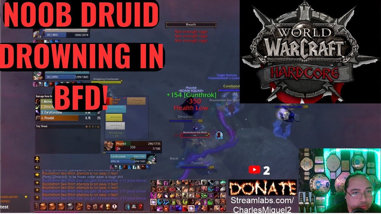 Wow Classic Hardcore Moments. Why You Need A Drown Alert! Noob Druid ...