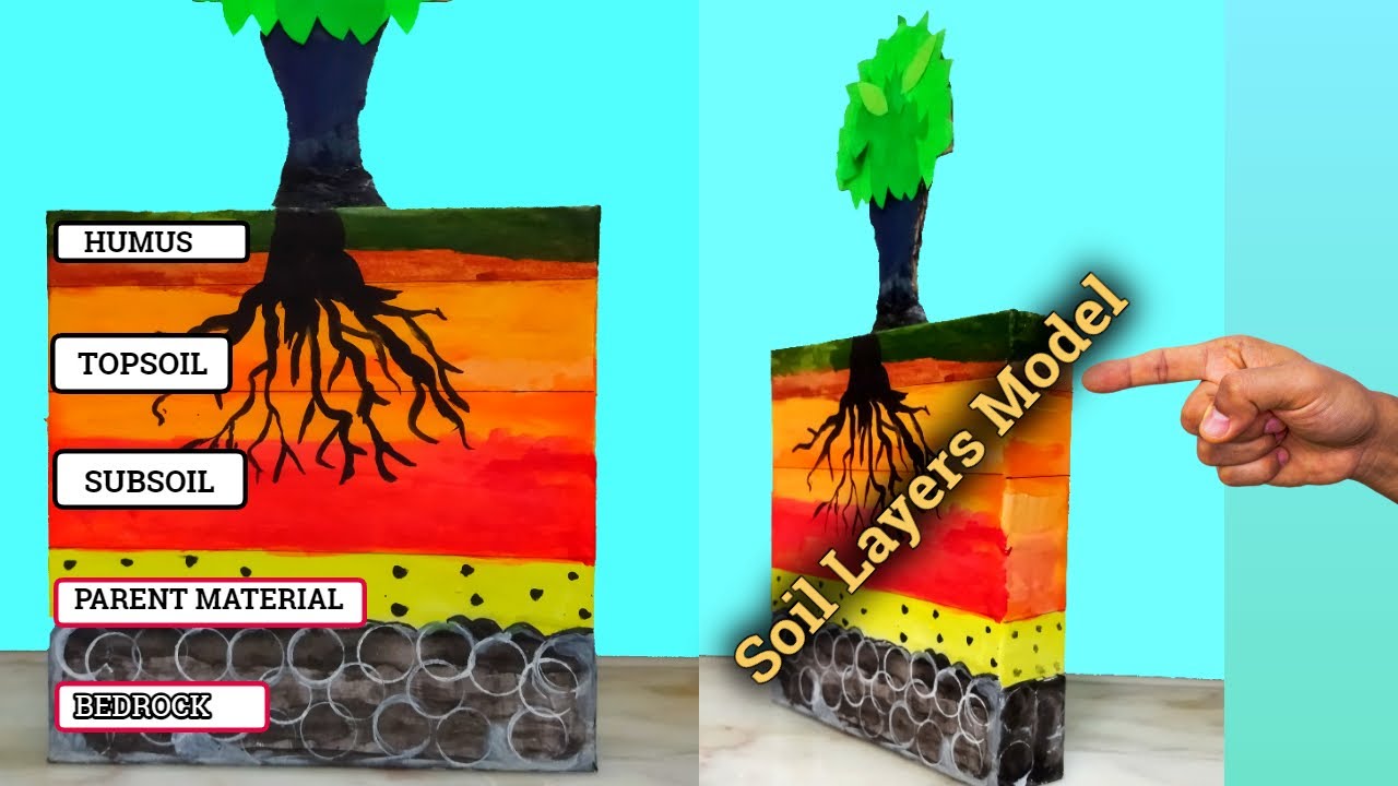 Soil Layers Model Easy 2024 || Layers of soil project model for Class 7 - YouTube