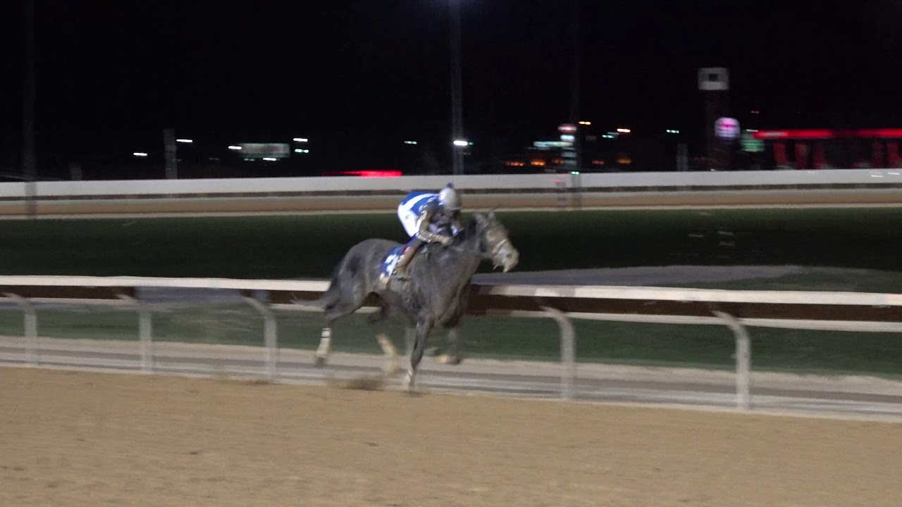 Two Races at Charles Town at Night - YouTube