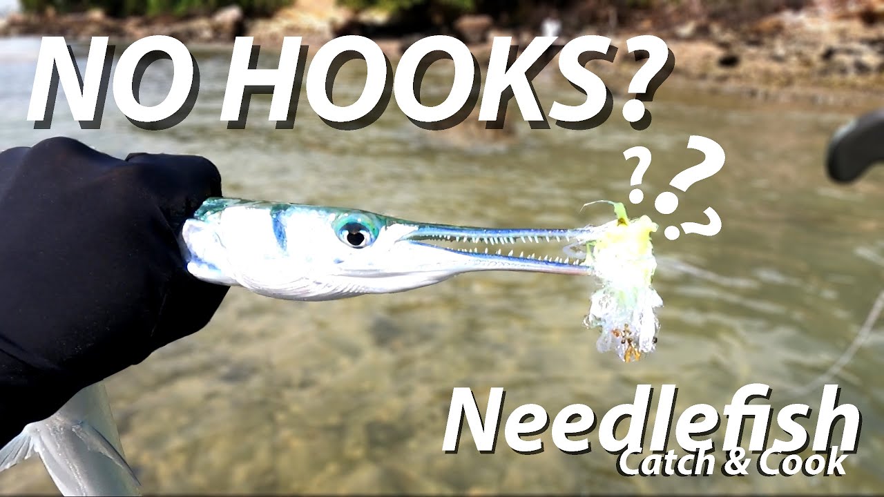 Fishing with no Hooks? Needlefish Catch and Cook - YouTube