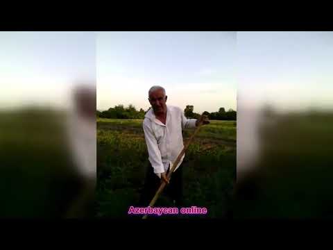 Çox menali sozler deyir halaldi