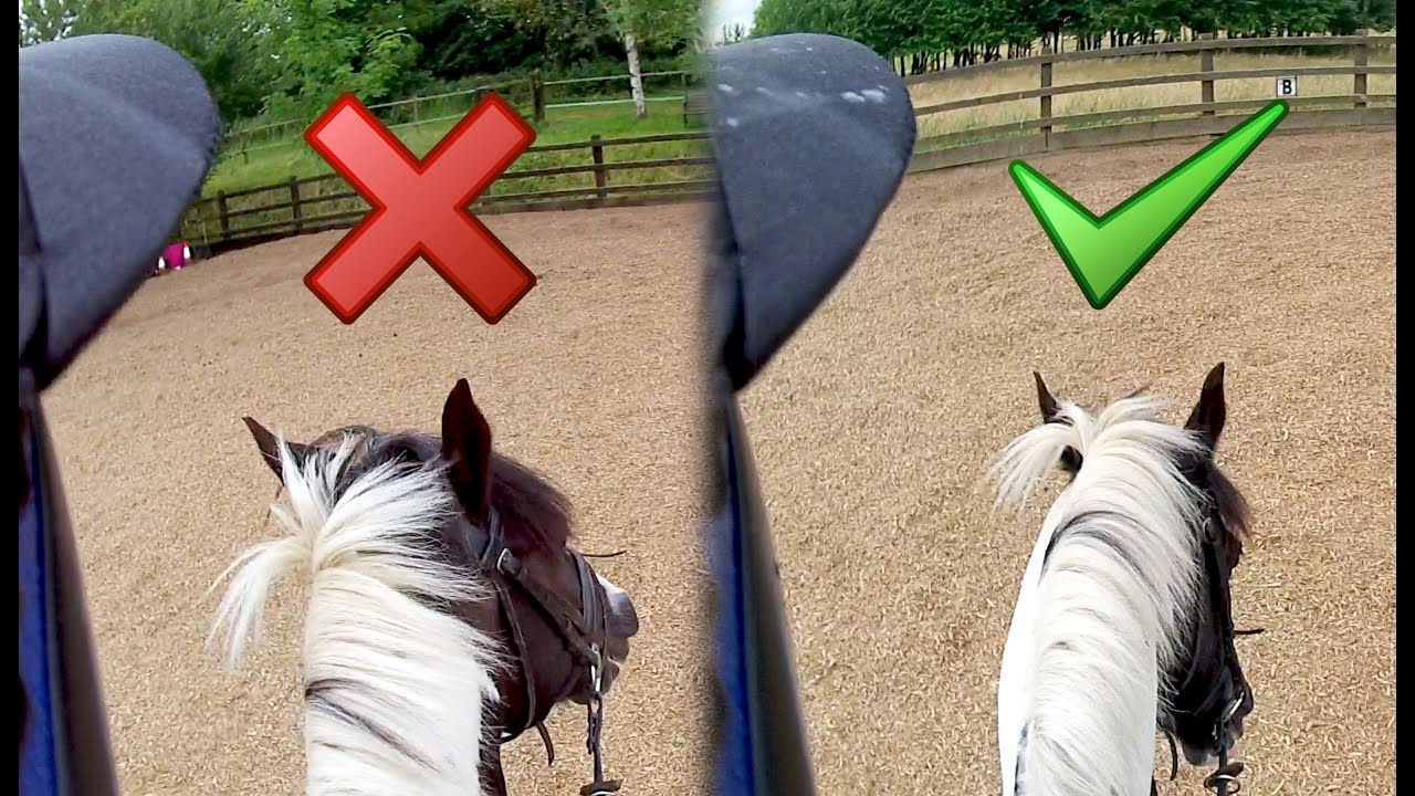 Suppleness & Bend (Flatwork) | Helmet Cam - YouTube