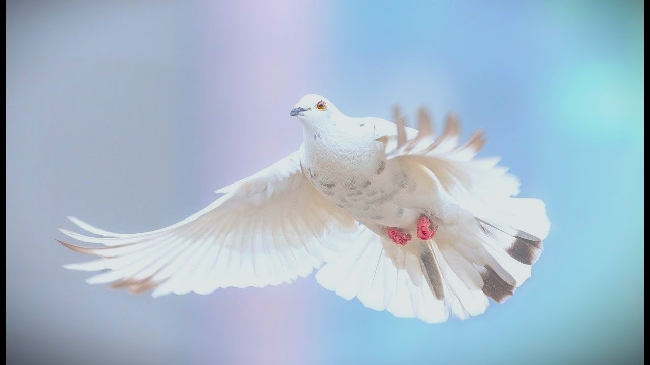 Cross Place Worship 20240519 - YouTube