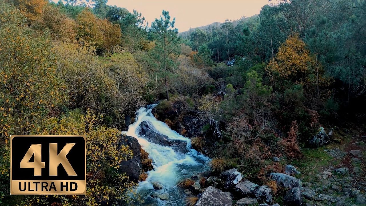 4K Virtual Forest Walk with Waterfall Views & Nature Sounds, Virtual ...