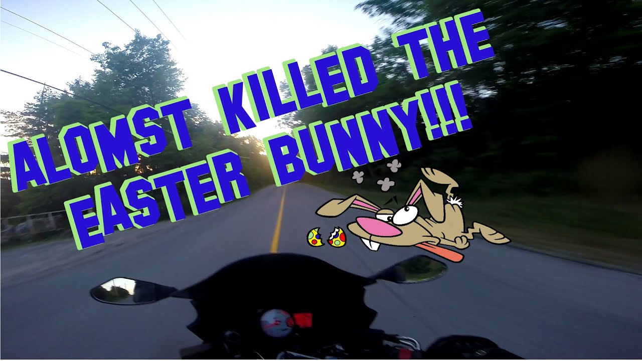 New Intro - Almost Run Over The Easter Bunny - YouTube