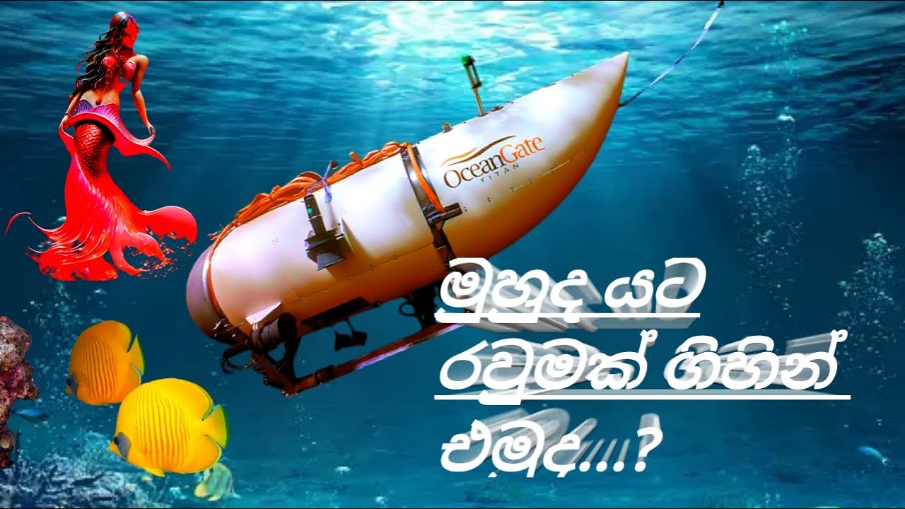 #muhuda yata #underwater #fish #lassanamalu #under the sea #ocean # ...