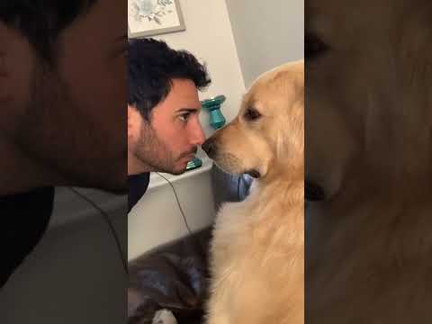 Dog And Owner Touching Nose Staring Contest