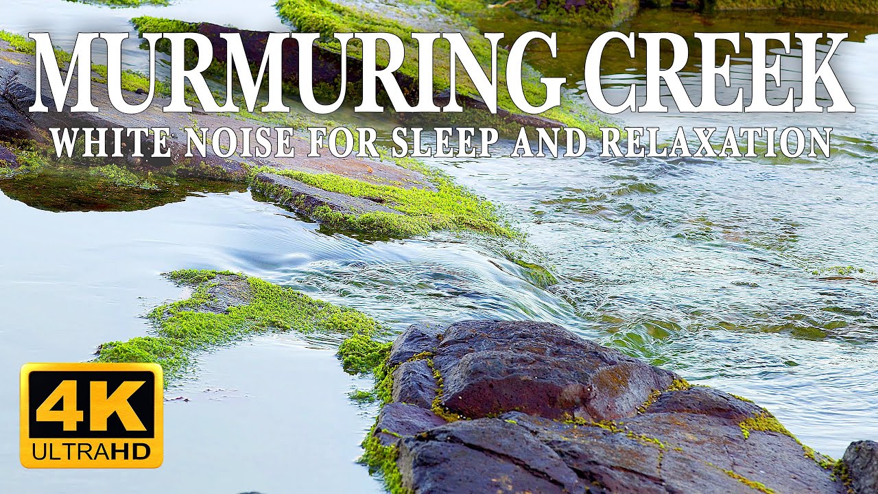 A murmuring creek. White noise for sleep, study and relaxation - YouTube